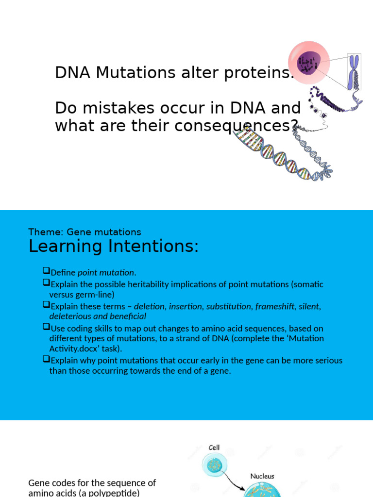 DNA Mutations Alter Proteins | PDF | Mutation | Point Mutation