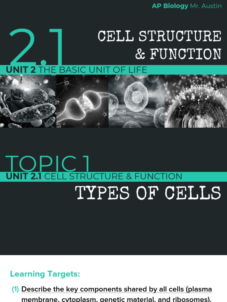 7-Unit 2.1 Cell Structure & Function - Cell Types | PDF | Cell (Biology ...