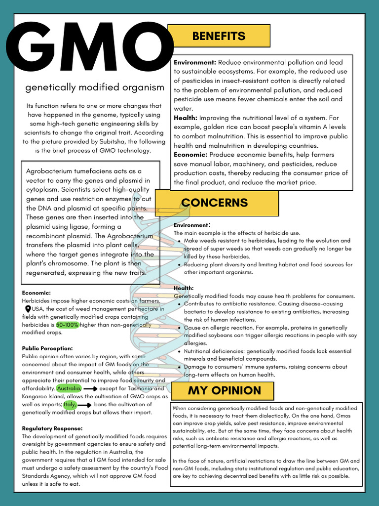 GMO Process - Formative D - Poster - Angel Huang | PDF | Genetically Modified Food | Genetically ...