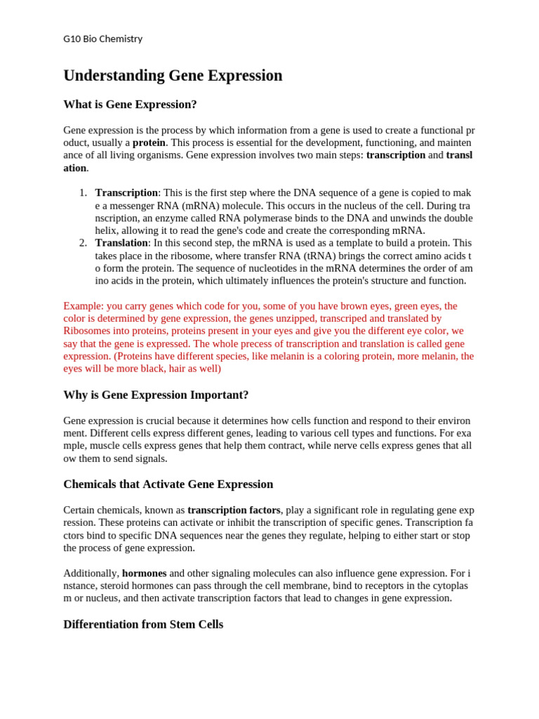 Understanding Gene Expression Basics | PDF | Gene Expression | Gene