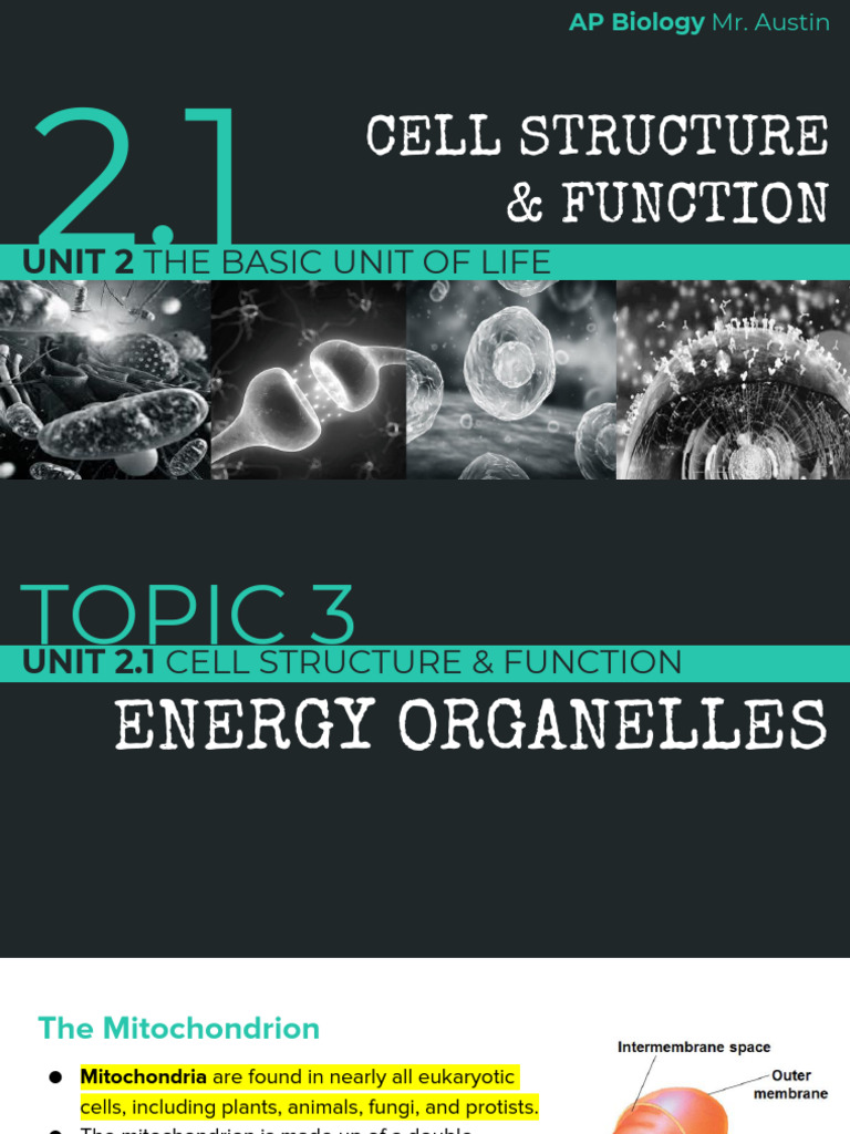 9-Unit 2.1 Cell Structure & Function - Energy Organelles and ...