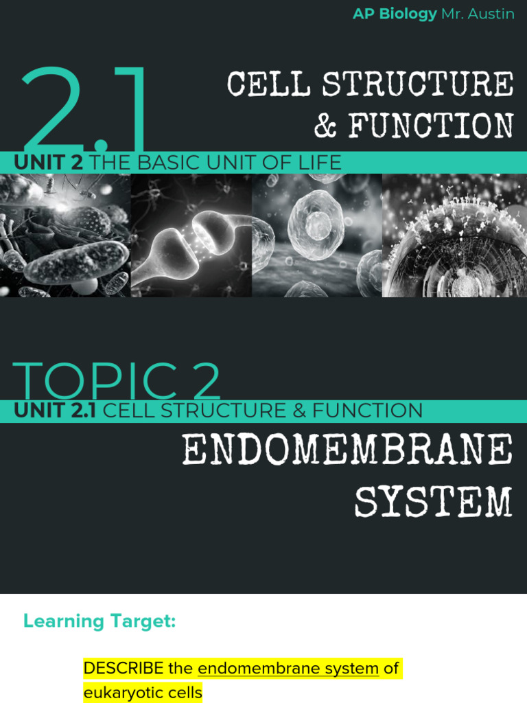 8-Unit 2.1 Cell Structure & Function - Endomembrane System | PDF ...