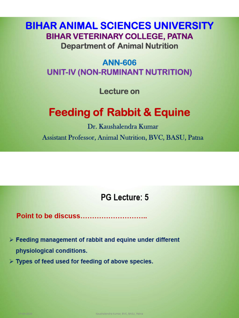 Rabbit and Horse Feeding Guide | PDF | Milk | Legume