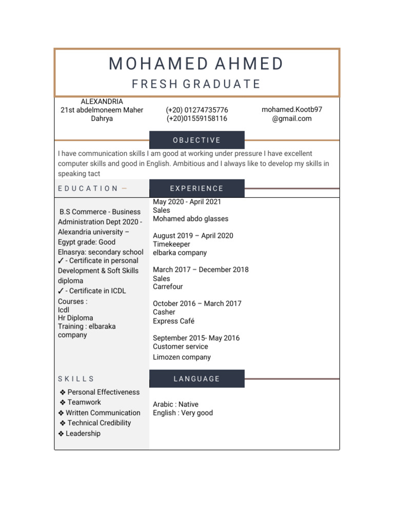 Fresh Graduate with Sales Experience | PDF