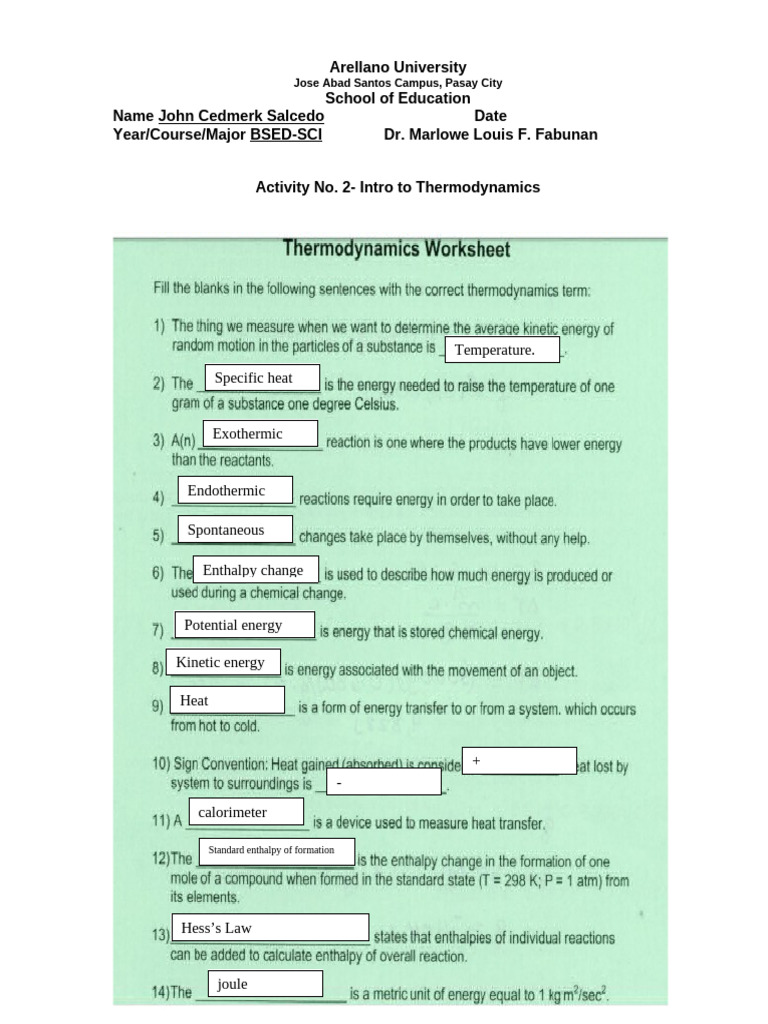 Activity 2-Intro to Thermodynamics (1) | PDF