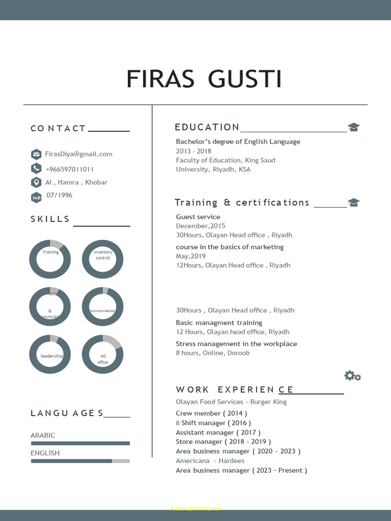 Updated Firas CV | PDF