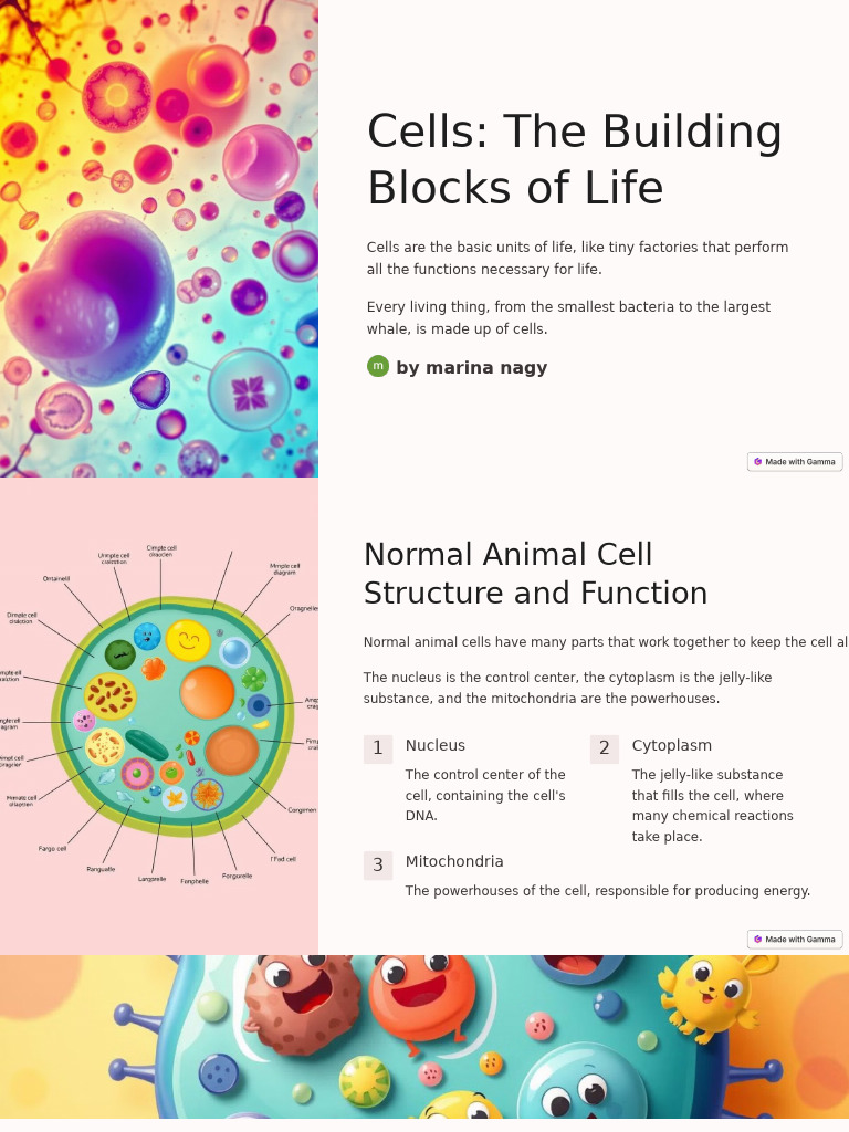 Cells The Building Blocks of Life | PDF | Neuron | Blood