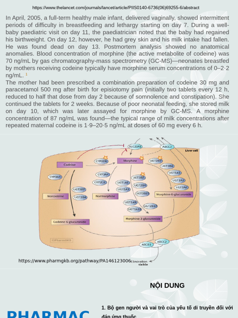 Pharmaco Genetics | PDF