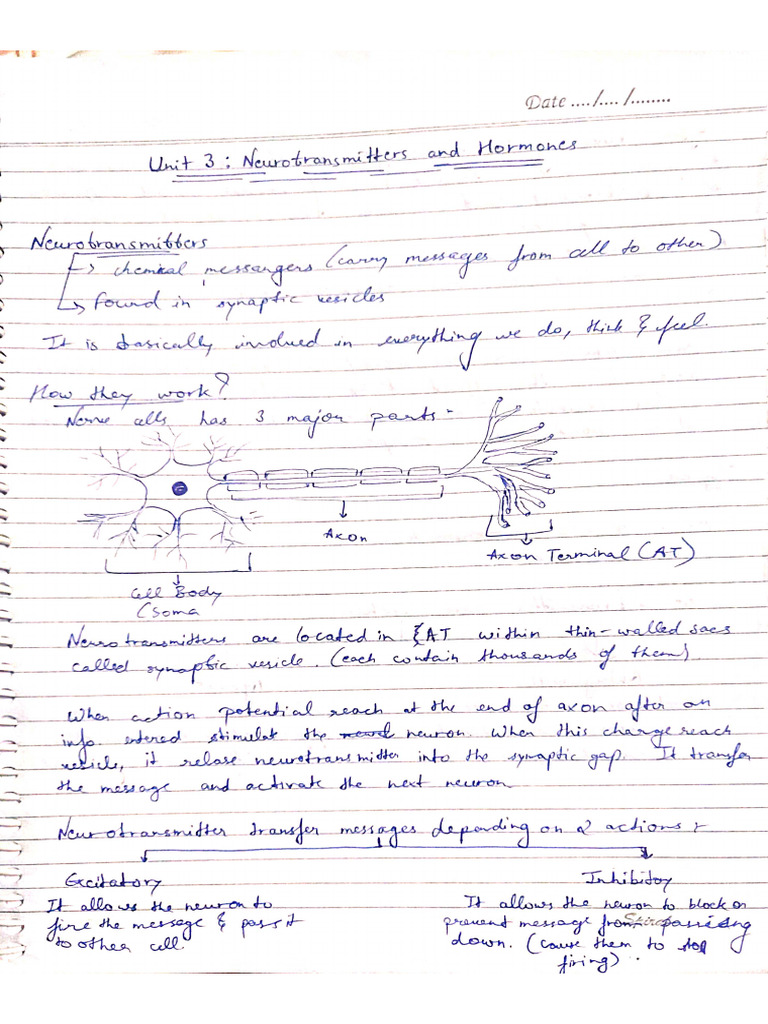 Physio Assignment | PDF