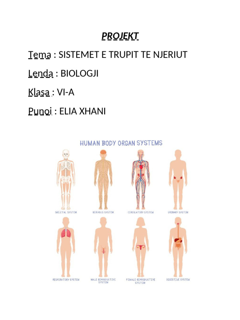Projekt Biologji Sistemet e Trupit Te Njeriut | PDF