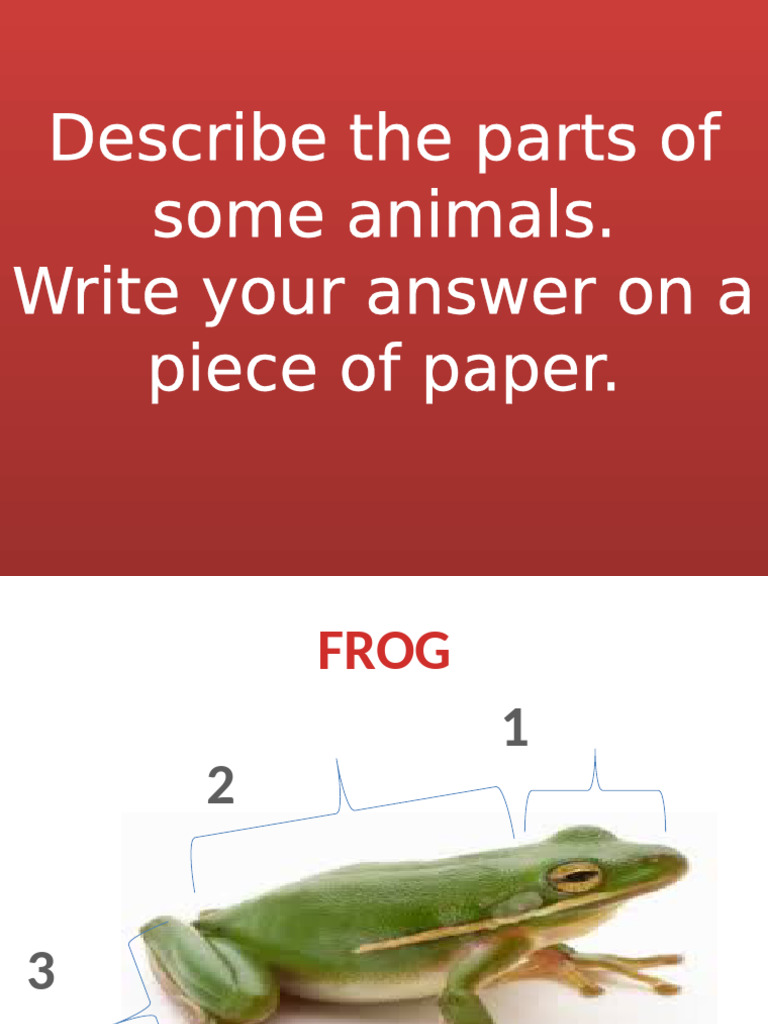 Animals - 2 - .PPTX Filename - UTF-8 - Animals | PDF
