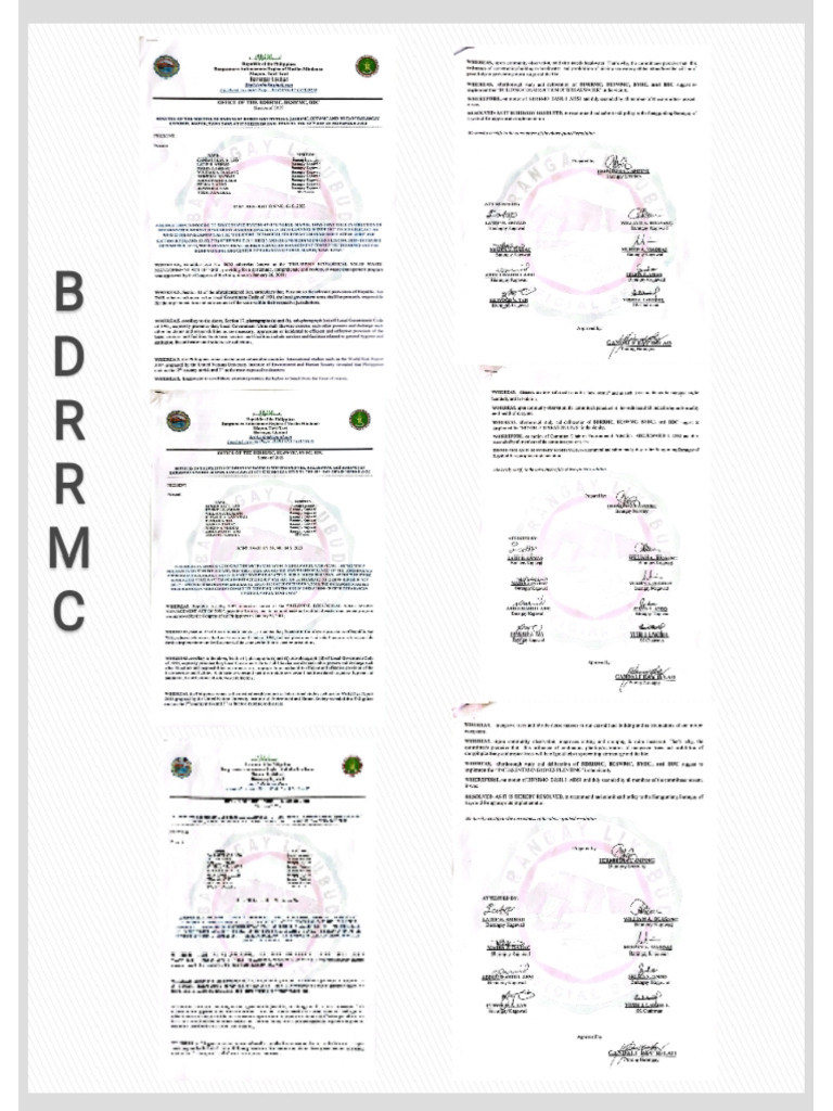 BDRRM Dox | PDF