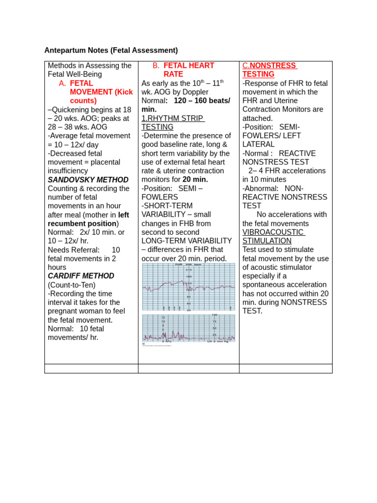 Antepartum Notes Fetal Assessment | PDF | Obstetrics | Medical Specialties