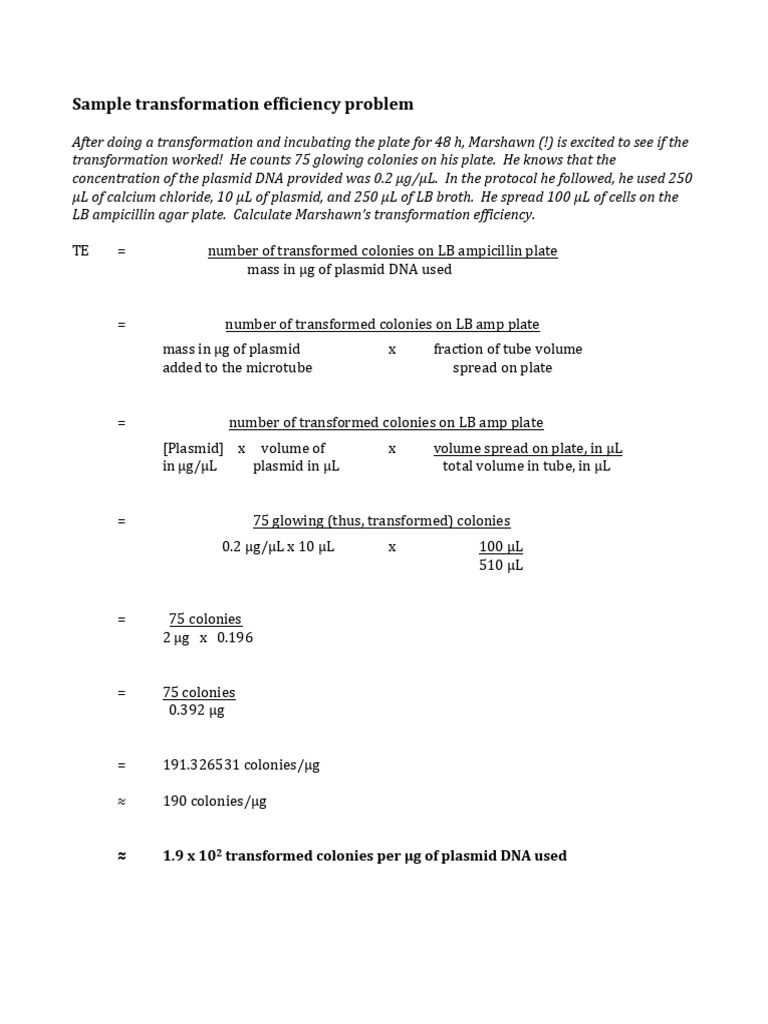 Bacterial Transformation Efficiency Example | PDF | Transformation ...