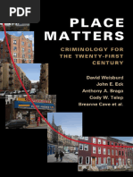 Crime Analysis Report - Template | PDF | Microsoft Excel | Data Analysis