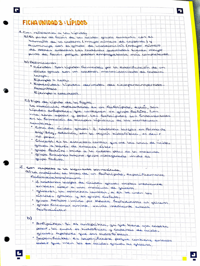 Adobe Scan 9 Oct 2024 | PDF