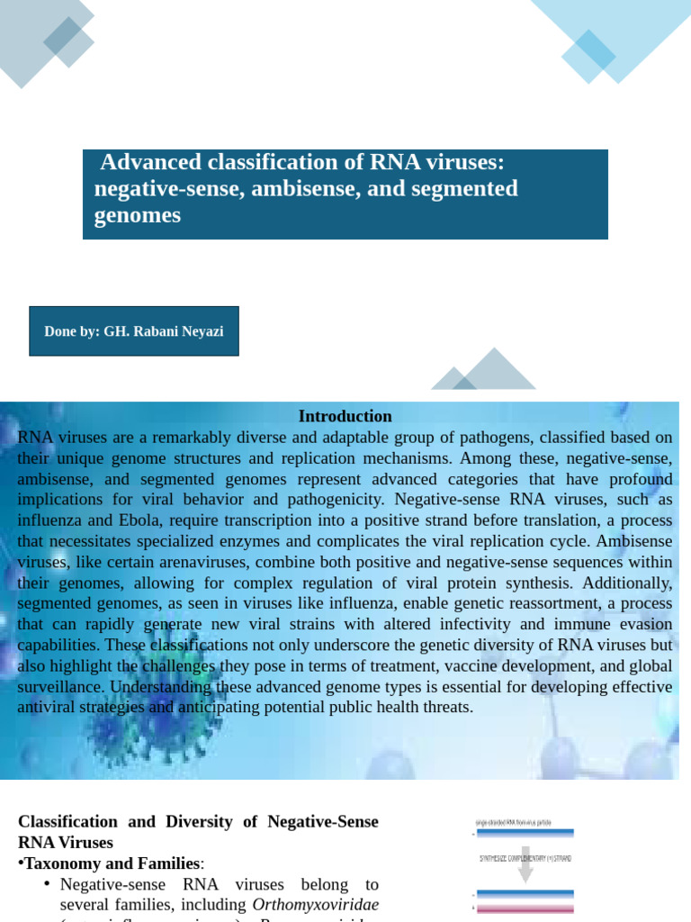Advanced RNA Virus Classification | PDF | Virus | Influenza
