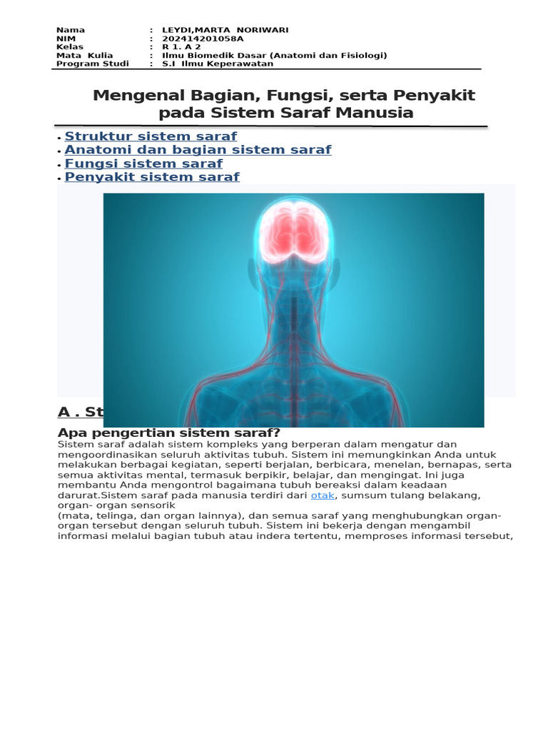 Mengenal Bagian Saraf | PDF