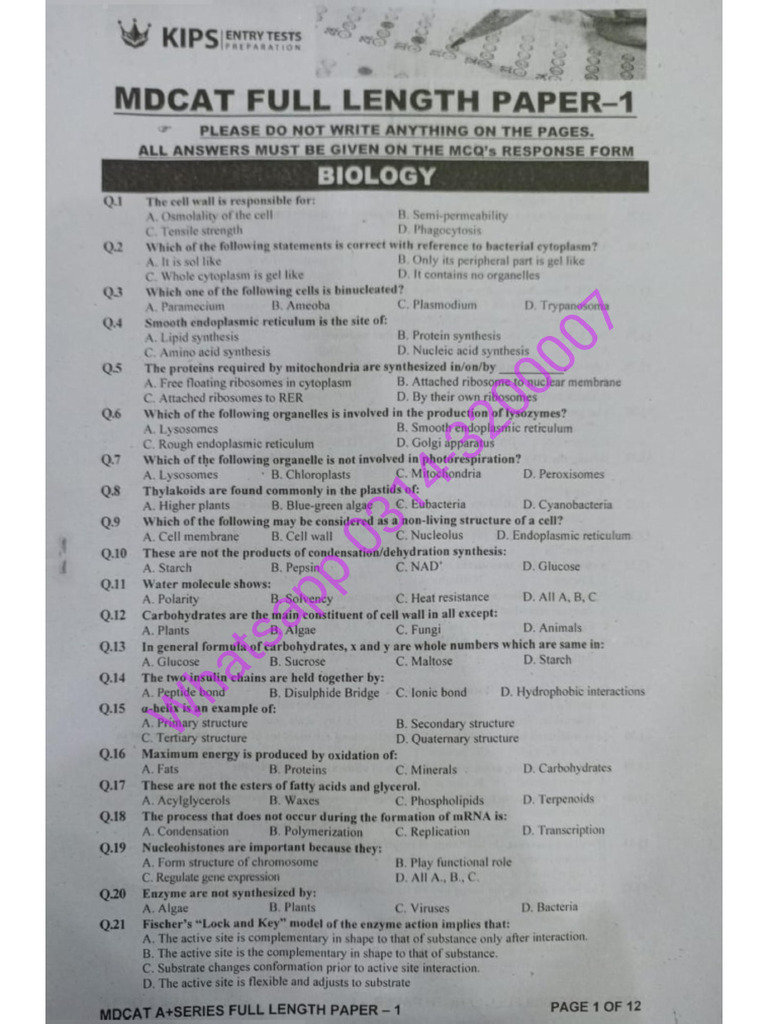 FLP 7 KIPS 2024 + Key | PDF