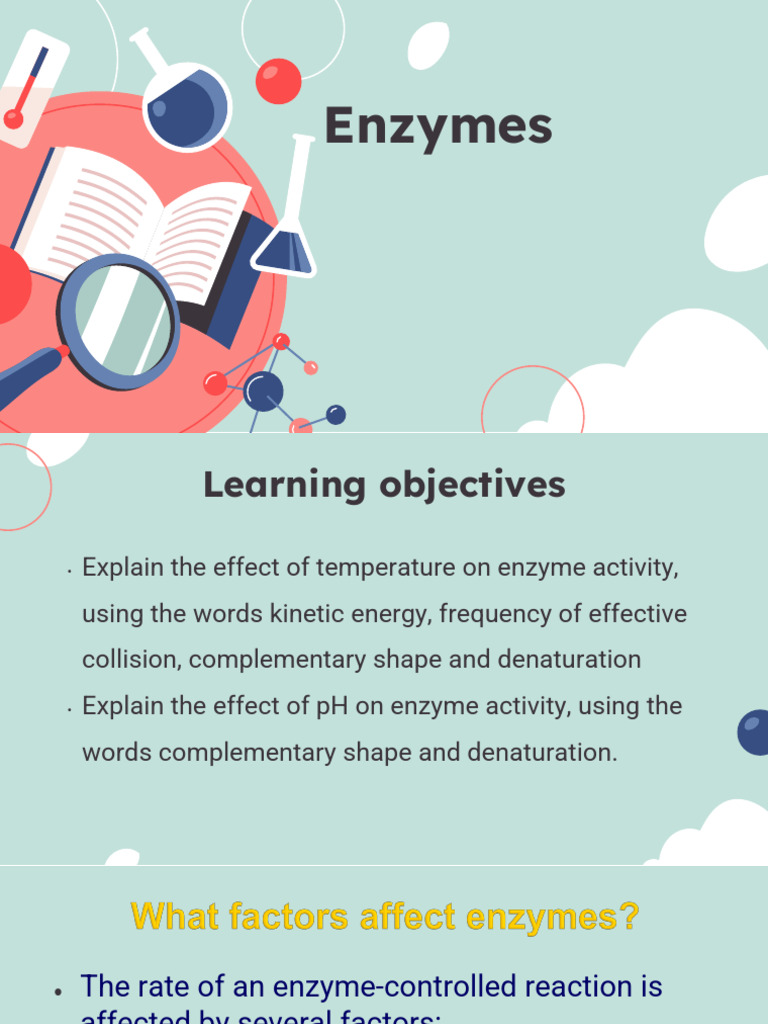 Enzyme Activity Factors Explained | PDF | Enzyme | Enzyme Assay