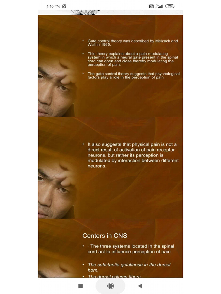 Pain Gate Theory | PDF