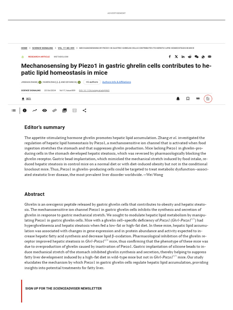Piezo1's Role in Ghrelin and Liver Fat | PDF | Liver | Molecular Biology