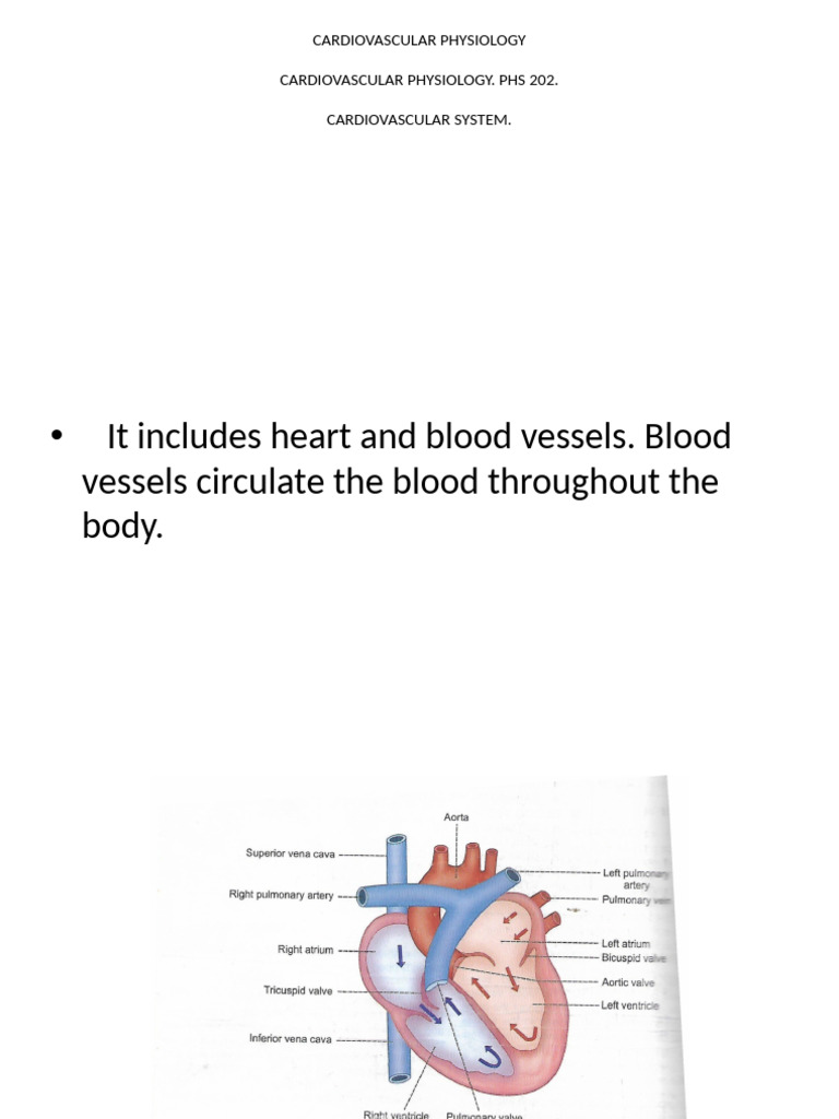 Cardiovascular Physiology Phs 202. | PDF | Heart Valve | Heart
