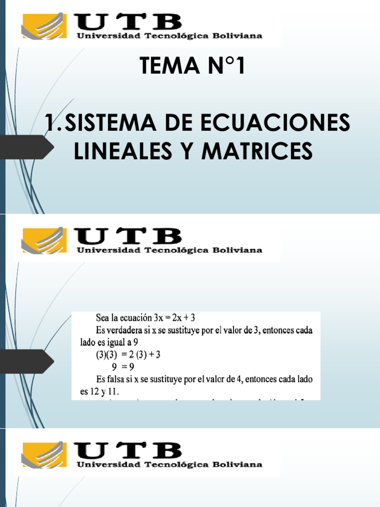 Ecuaciones y Matrices: Guía Completa | PDF | Matriz (Matemáticas ...