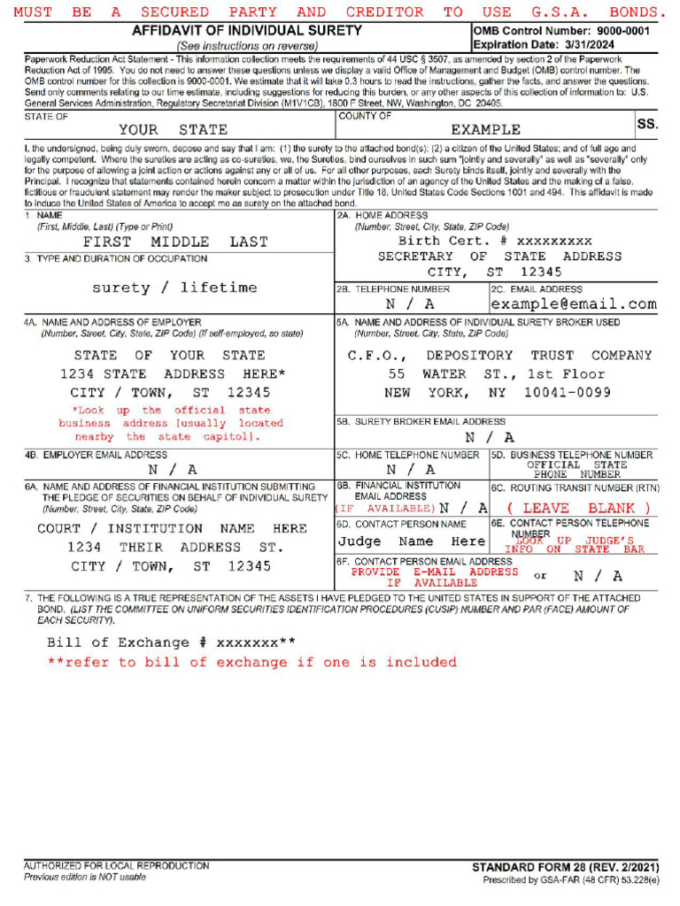 Individual Surety Template | PDF