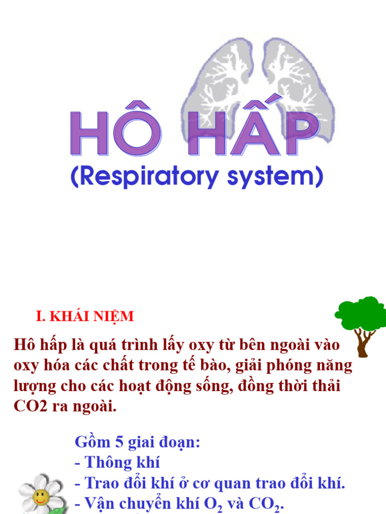 C2.ho Hap | PDF