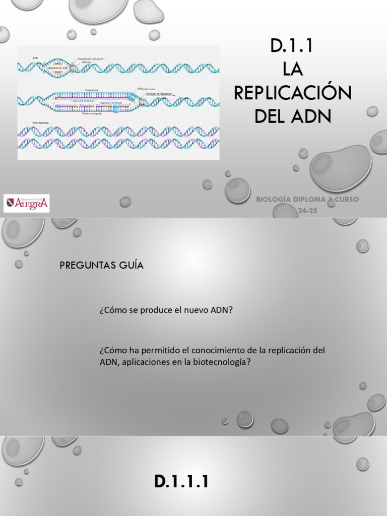 REPLICACIÓN | PDF | Adn | Replicación De Adn