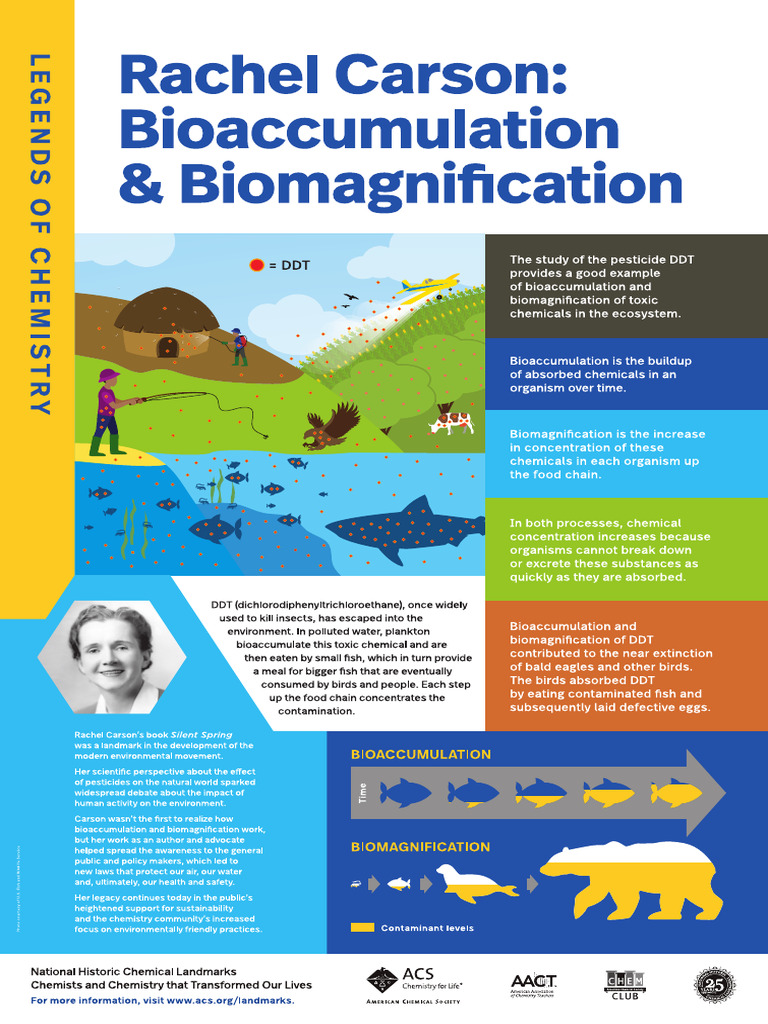 Rachel Carson Poster | PDF