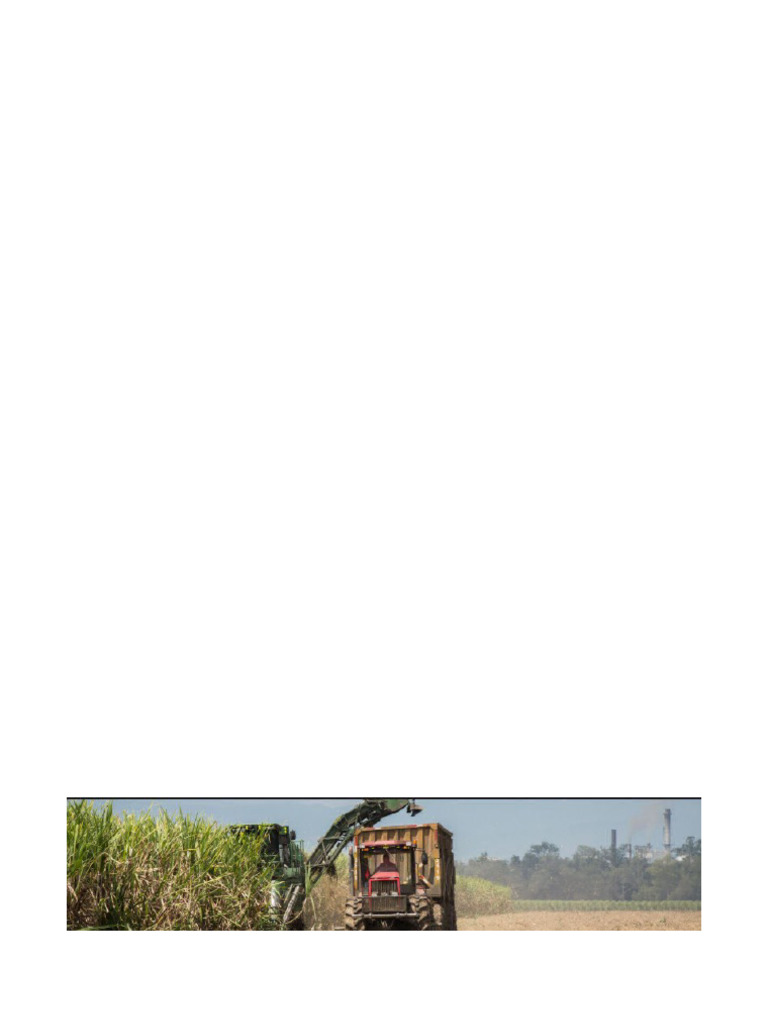 Materia Extraña Fotos | PDF