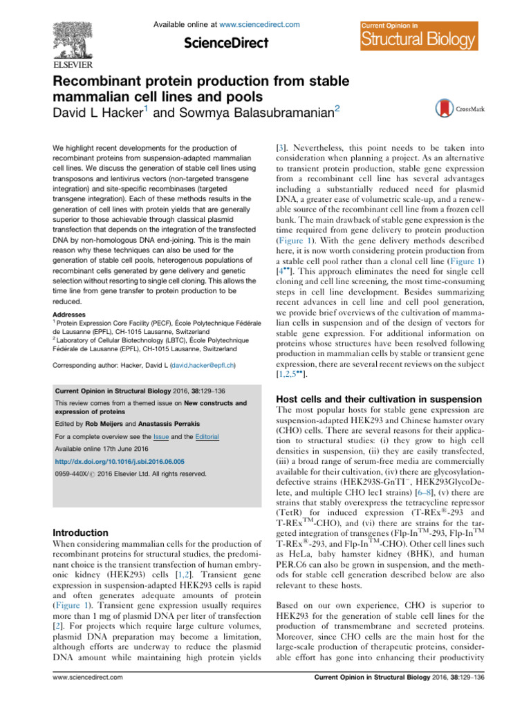 Recombinant Protein Production From Stable Mammalian Cell Lines and ...