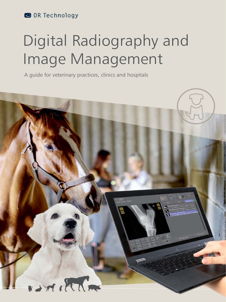 Brochure Digital Radiology Vet - A Guide For Veterinary Practices ...