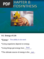 Life Sciences Gr11 Notes Photosynthesis | PDF | Photosynthesis ...