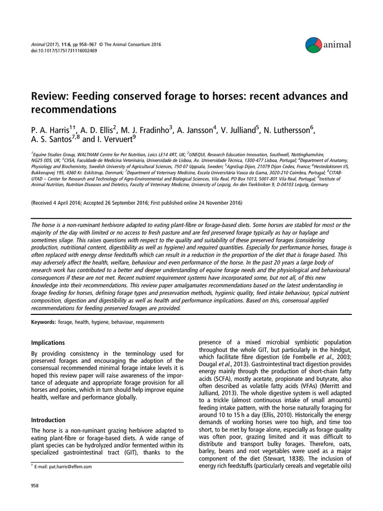 Optimizing Forage Feeding for Horses | PDF | Hay | Mycotoxin