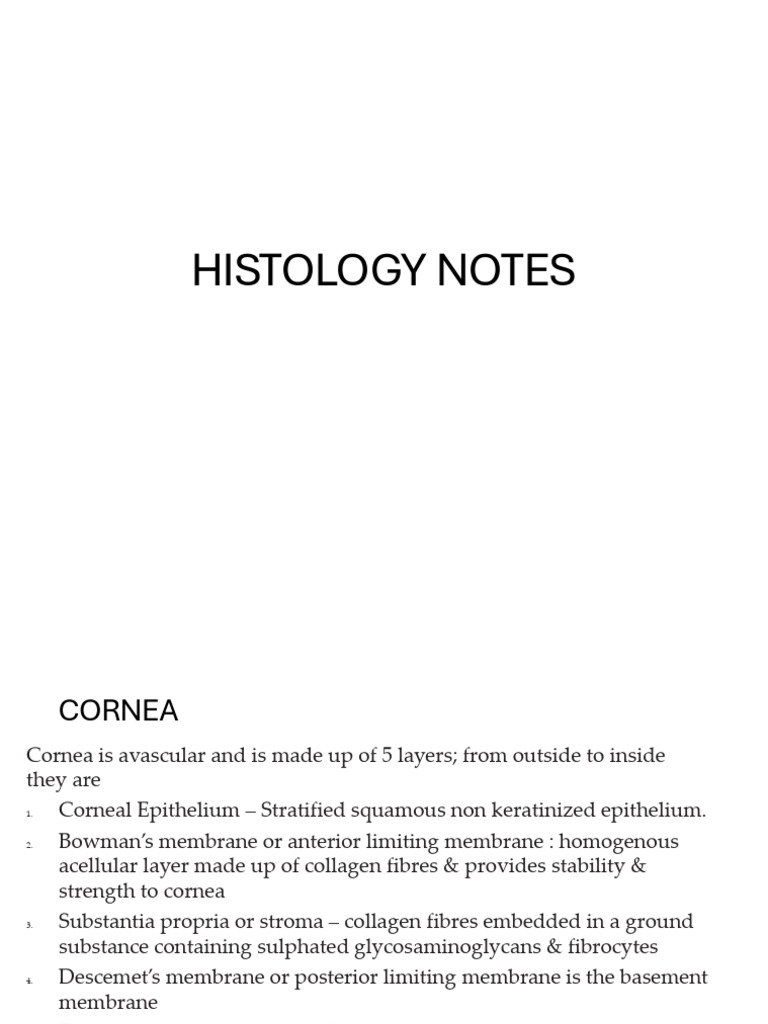 HISTOLOGY NOTES FOR III IA | PDF | Skin | Cornea