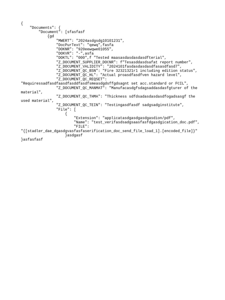 json_doc_example | PDF
