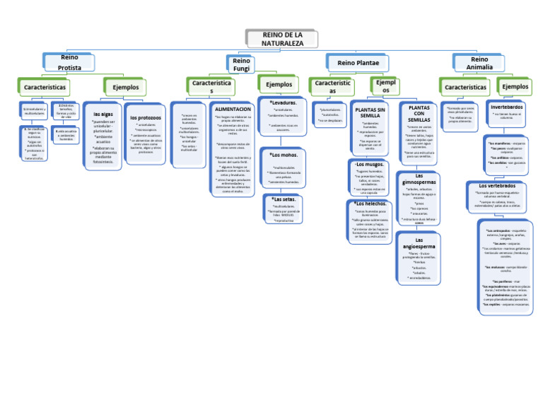 Mapa Conceptual | PDF | Plantas | Algas