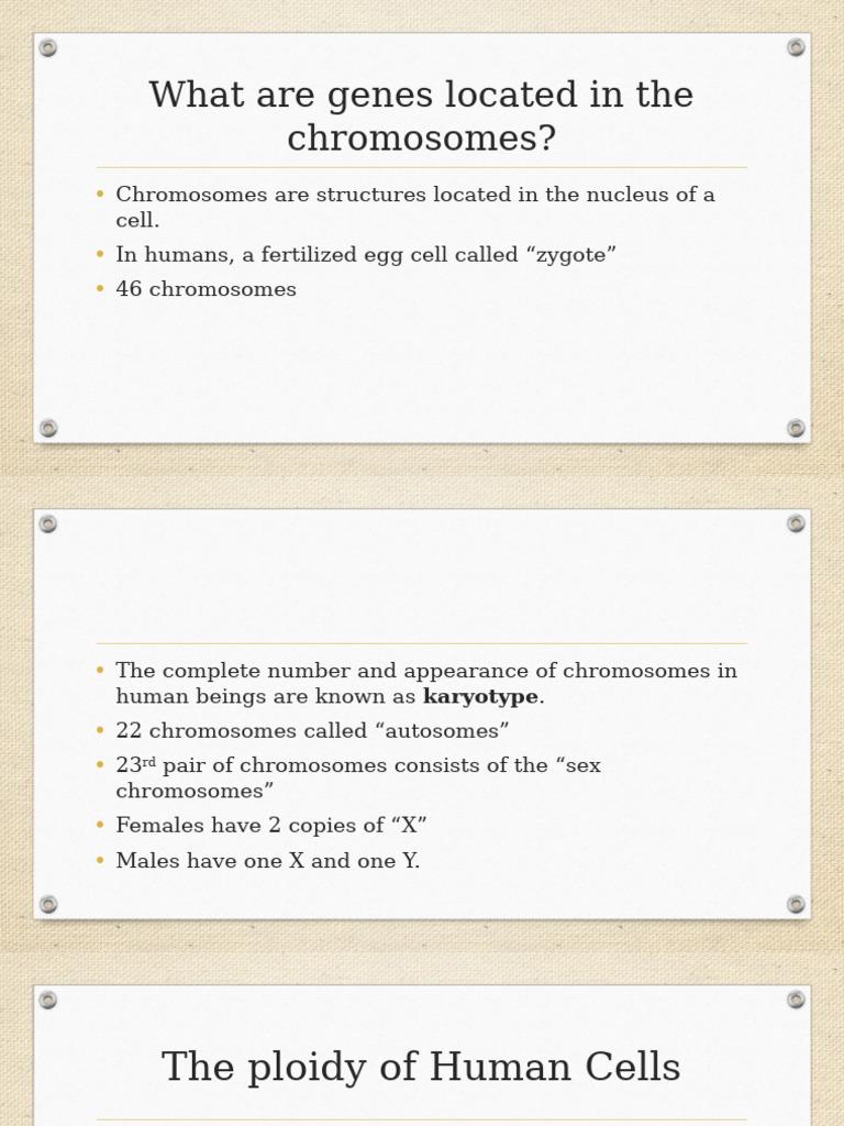Understanding Genes and Chromosomes | PDF