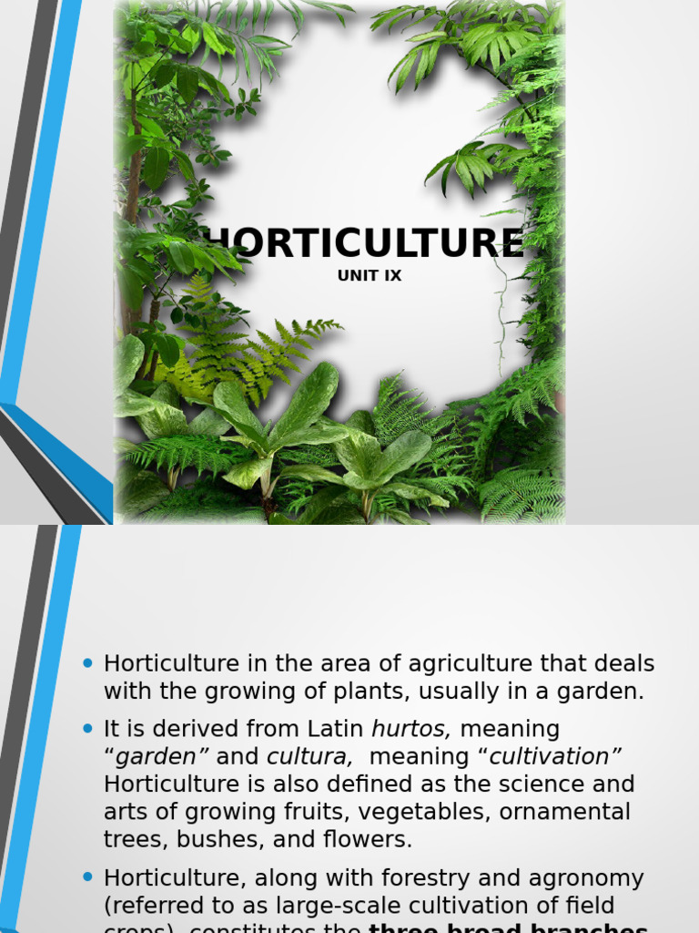 Overview of Horticulture Practices | PDF