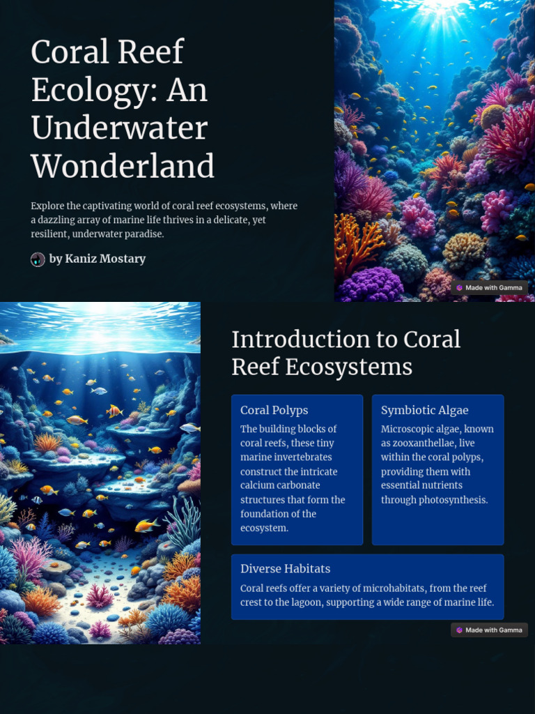 Presentation on Coral Reef Ecology | PDF | Coral Reef | Coral