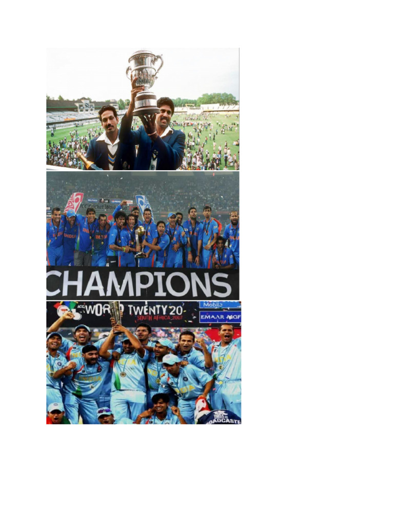 Cricket Collage | PDF