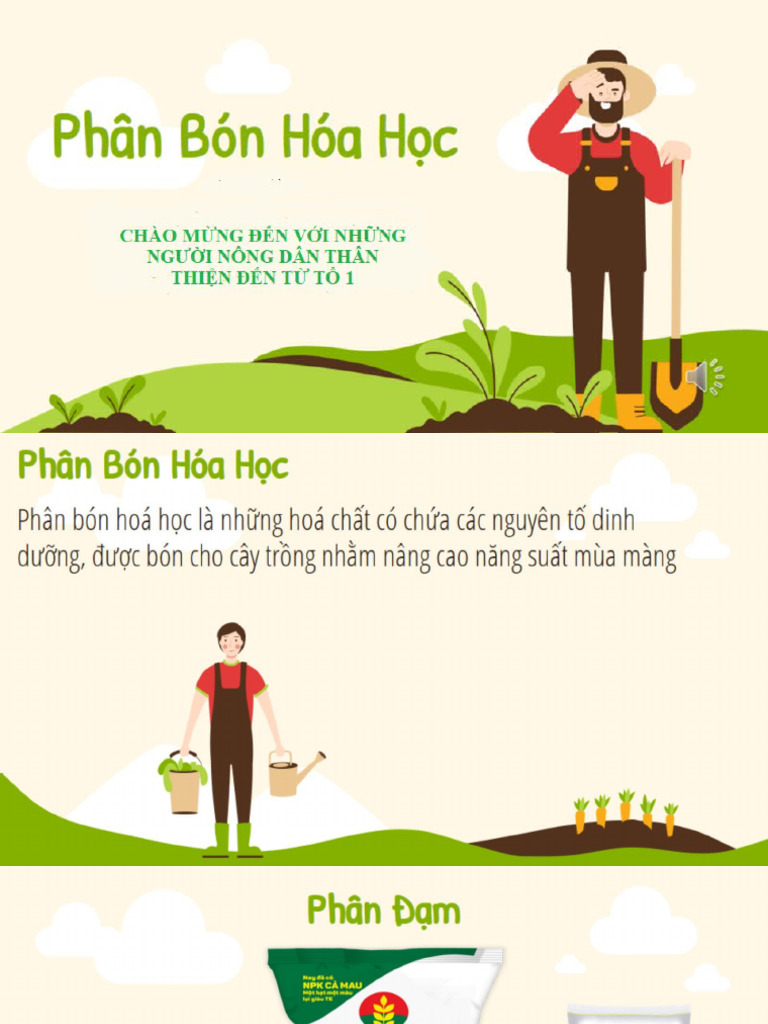Bai 12 Phan Bon Hoa Hoc | PDF