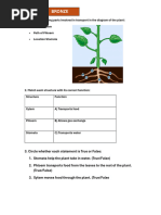 Worksheet 1 Continental Vs Oceanic Crust | PDF | Social Science ...