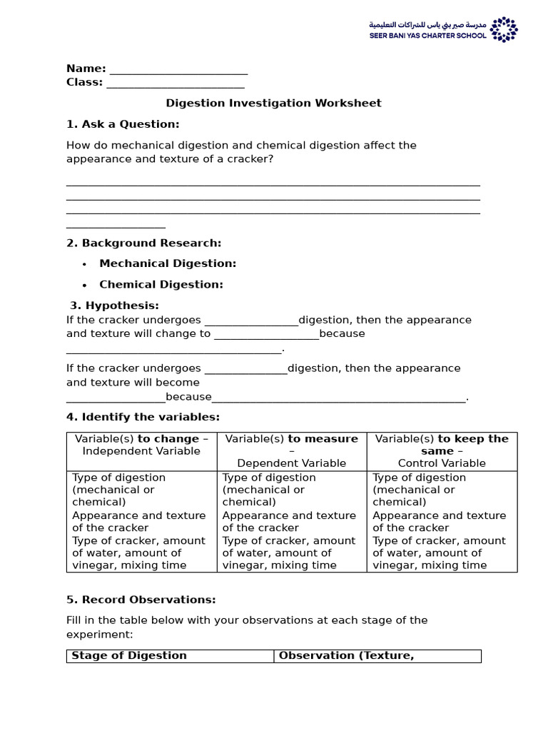 Investigation- Digestion | PDF | Experiment | Digestion