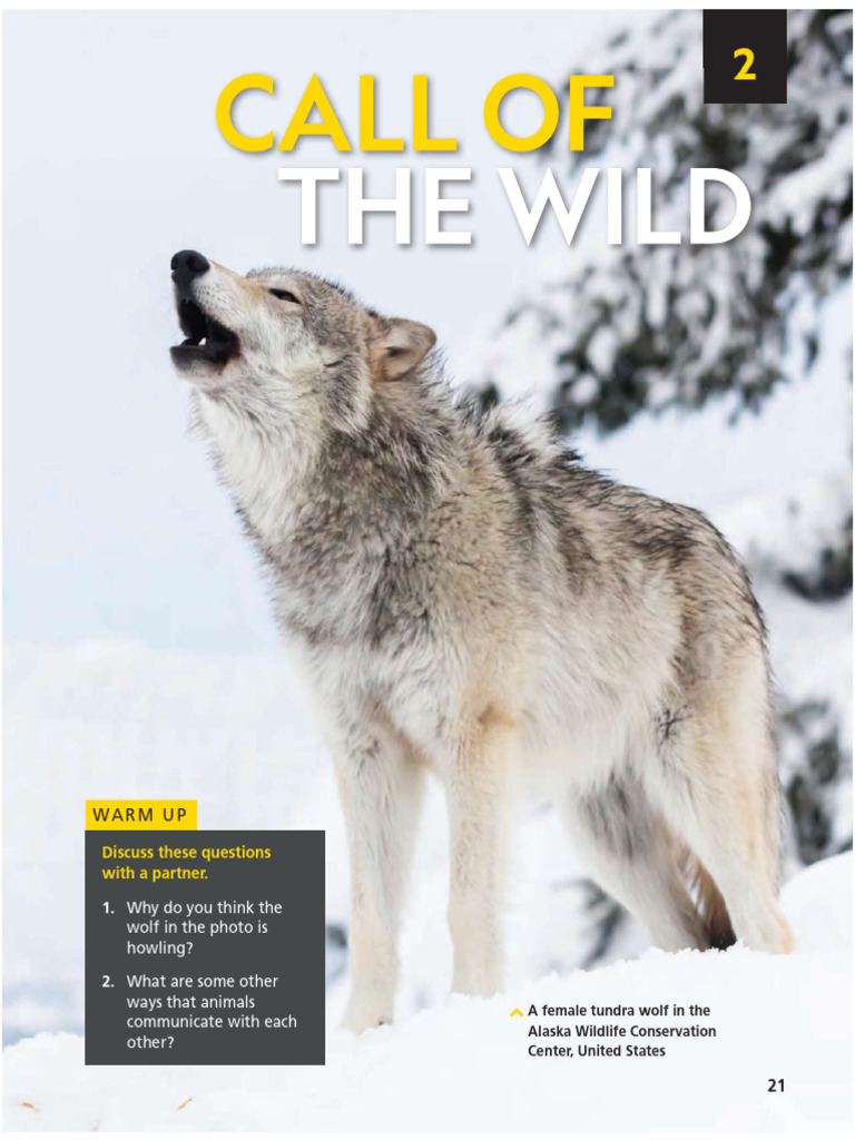 READING 1-UNIT 2 | PDF | Whales | Lion