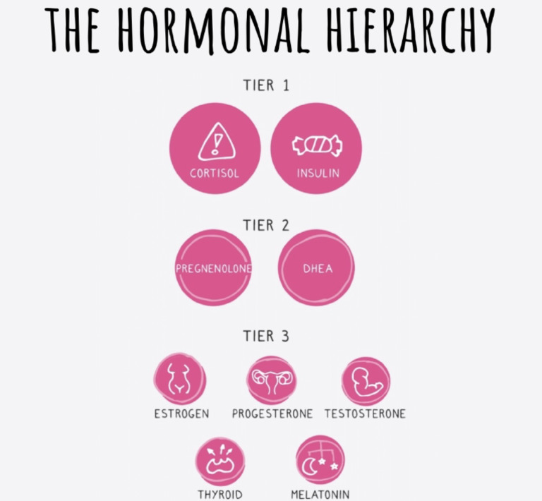 Hormone Hierarchy PDF | PDF