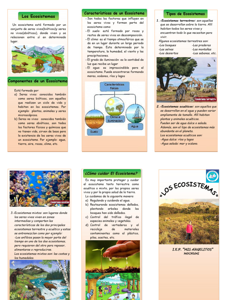 Triptico Ecosistema 220919021312 B56a3ccb | PDF | Ecosistema | Suelo